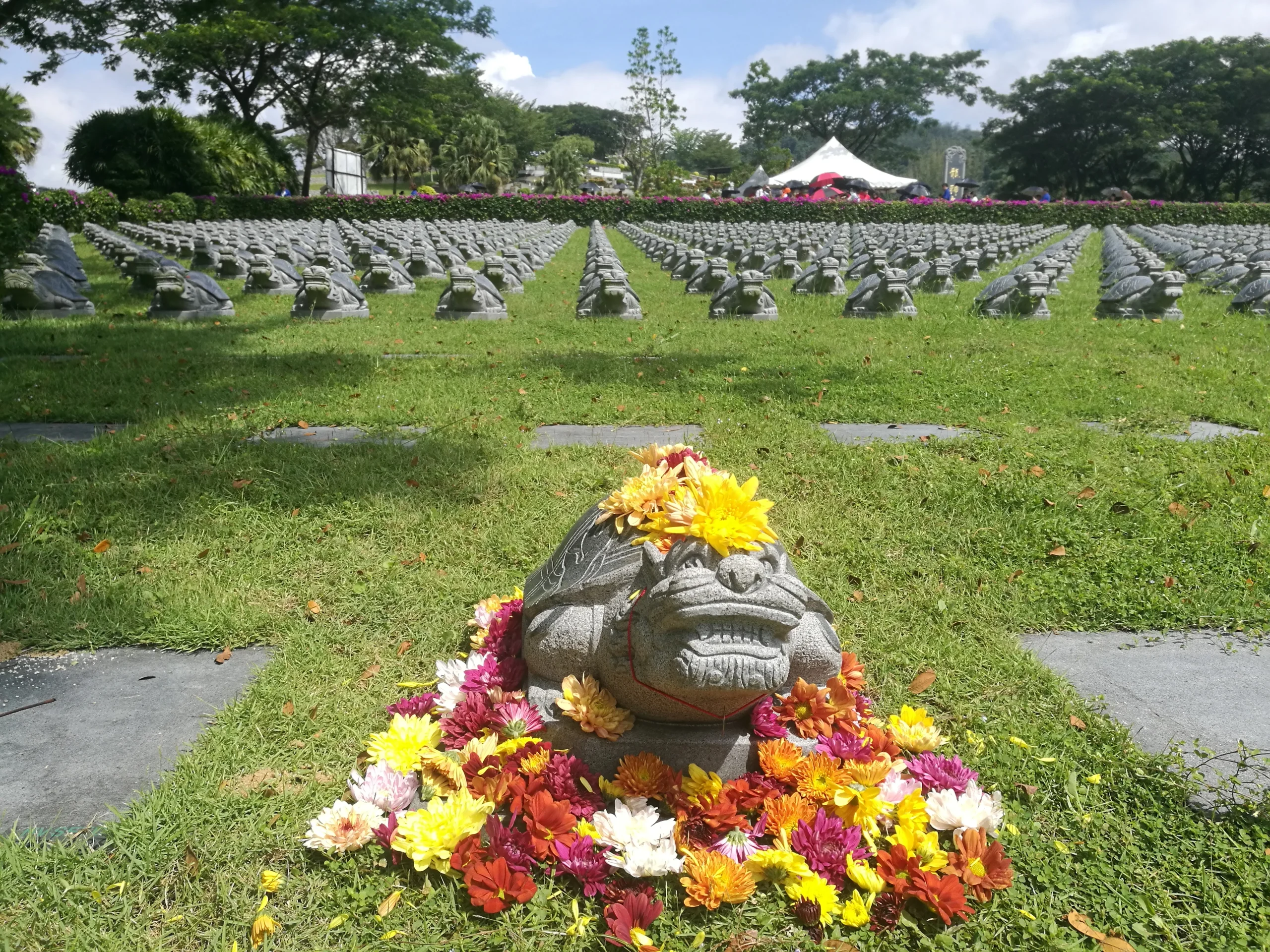 Product and Services | Impact Phoenix