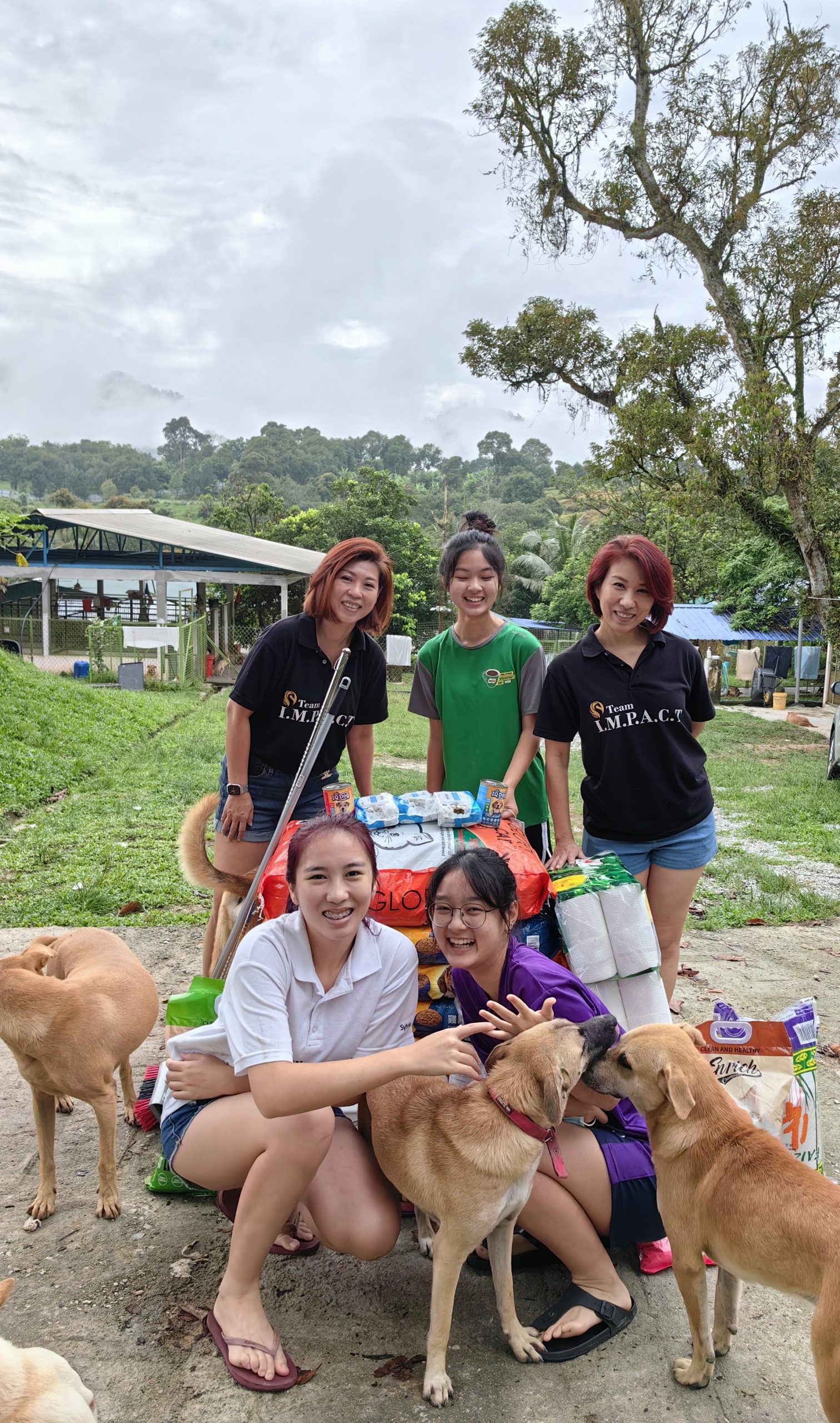 2022 Charity Drive with IMPACT PHOENIX Angels